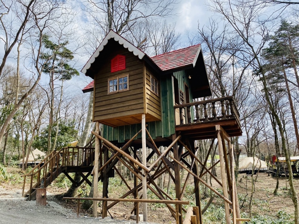 Robin bird house store